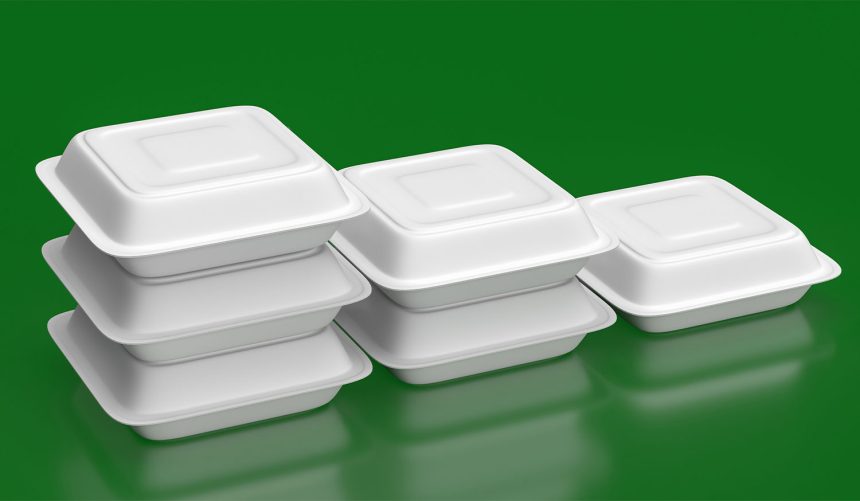 Why is Sugarcane Bagasse Sustainable? – EcoBoxes